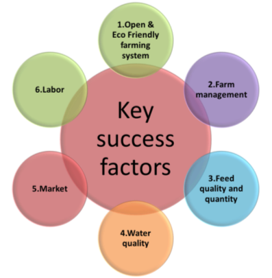 SCT INC ::: Product Marketing ::: Japanese product marketing ...